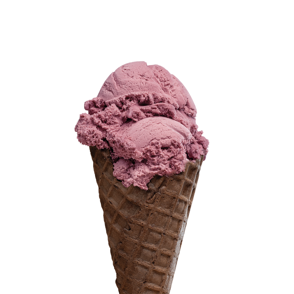 Black Raspberry - (4 PACK) 48oz CARTONS | Order Perry's Ice Cream ...